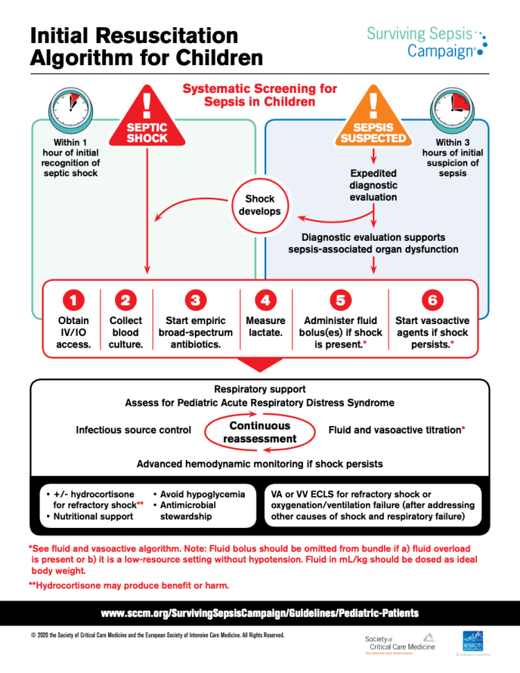 Sepsis – UAB|COA Pediatric Emergency Medicine