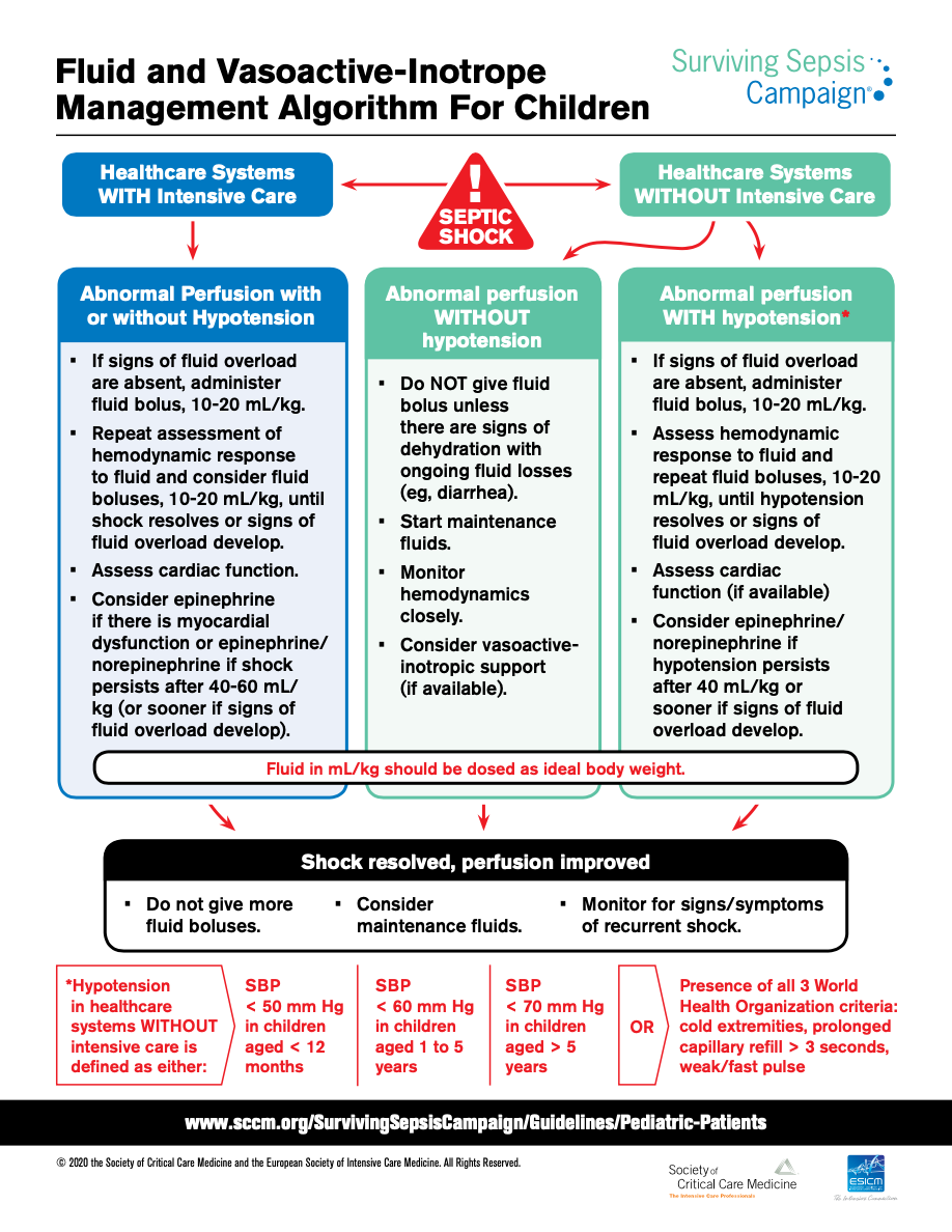 Sepsis – UAB|COA Pediatric Emergency Medicine