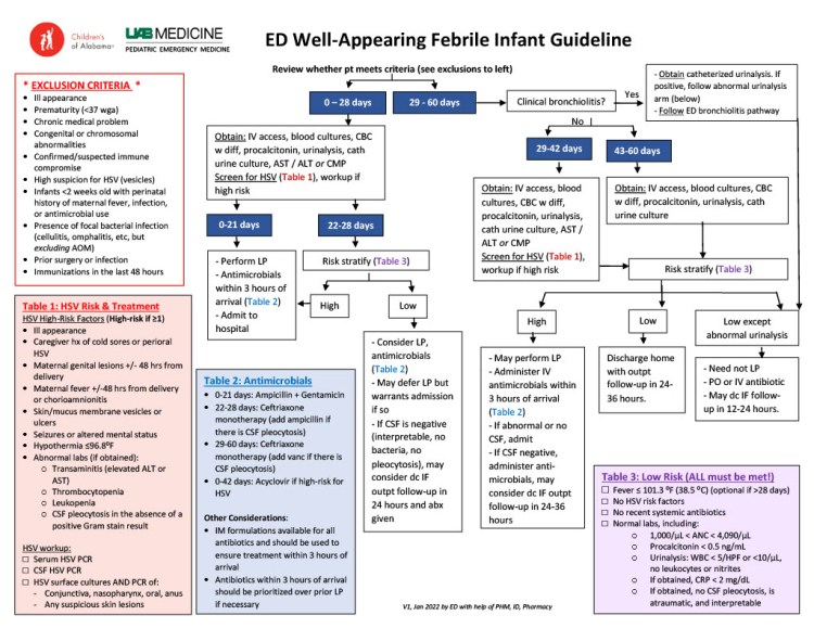 Febrile Neonate / Neonatal HSV
